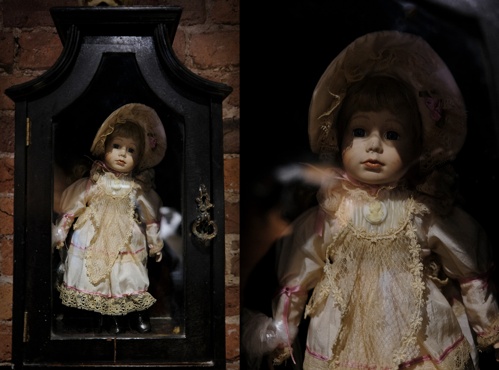 Oddities & Curios - One For Sorrow Tattoo Parlour